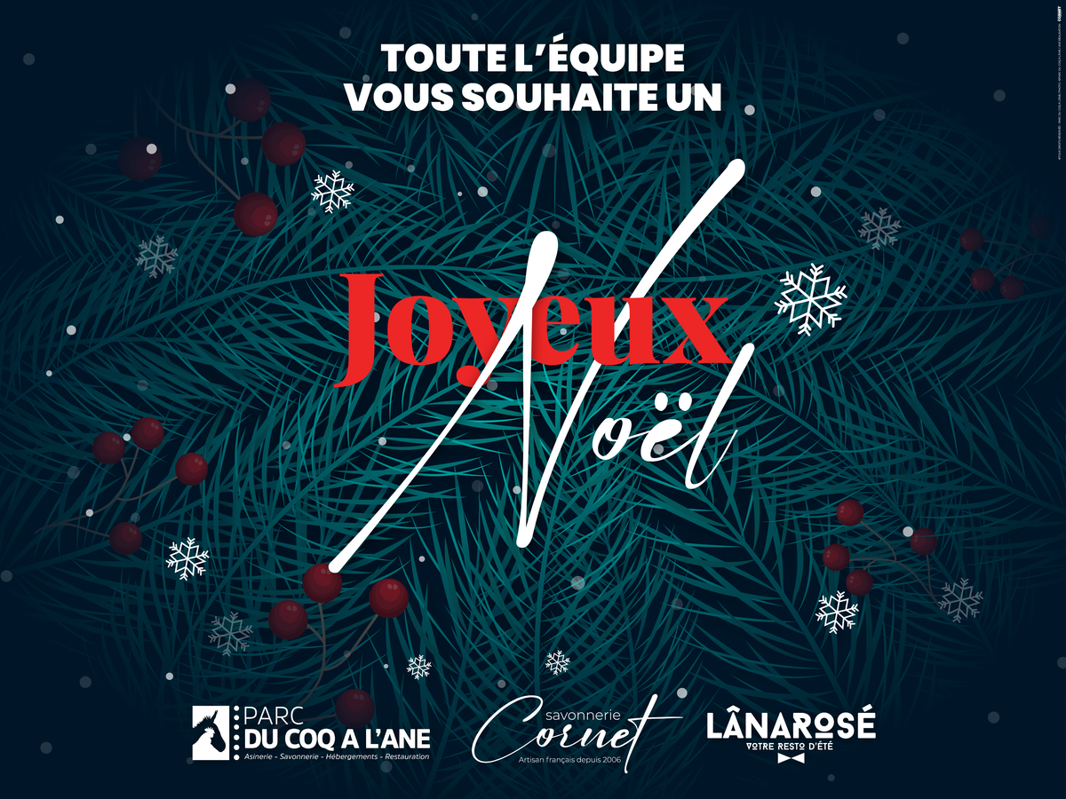 Toute l'équipe vous souhaite un joyeux Noël ! | Savonnerie Cornet